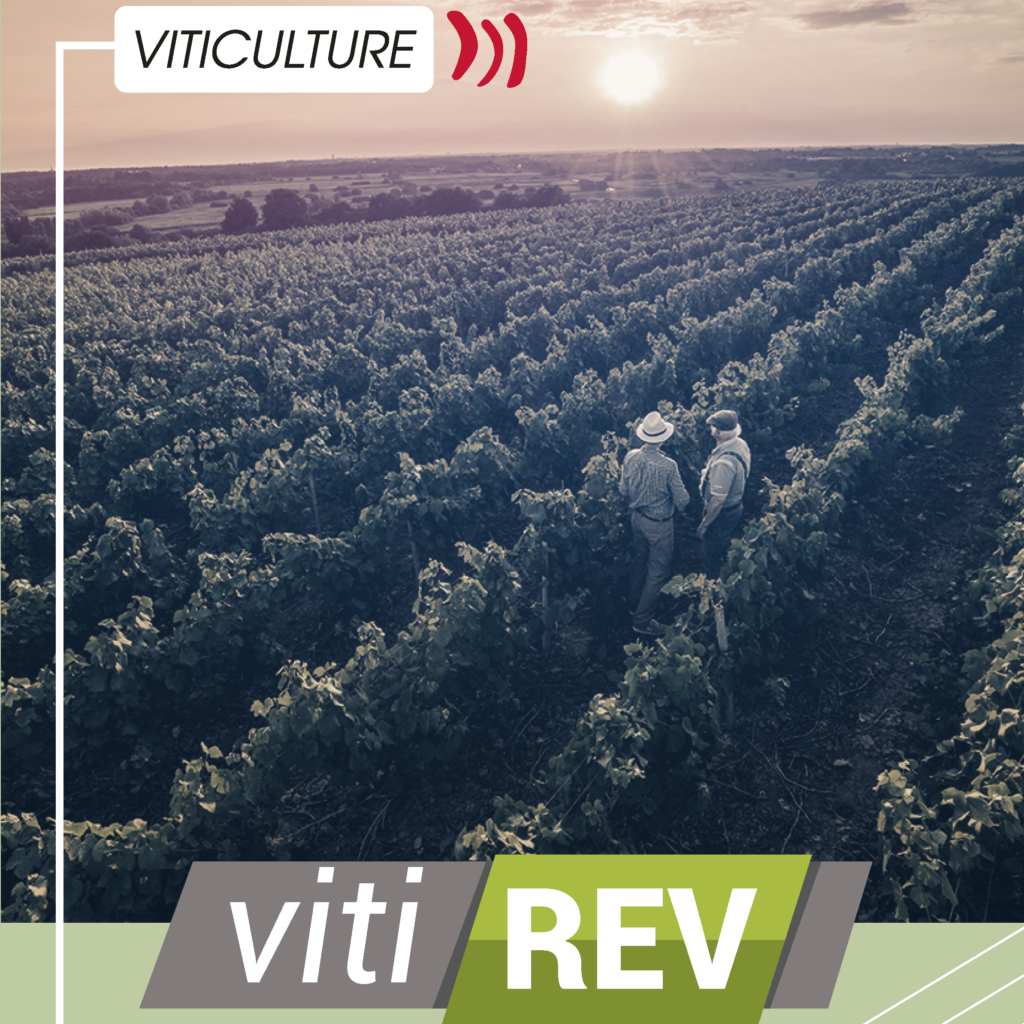 [Vidéo] VitiREV, un collectif vitivinicole pour répondre à la feuille de route régionale Néo ...